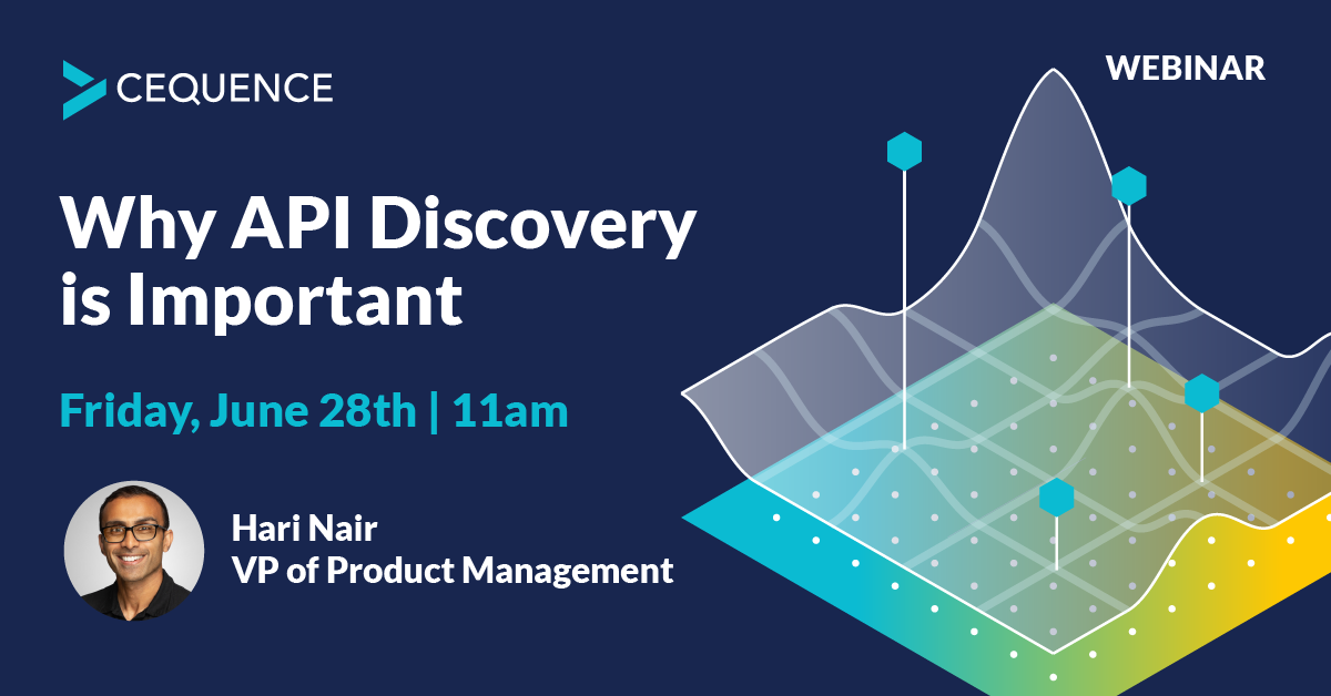 Why API Discovery is Important| Cequence Why API Discovery is Important| Cequence