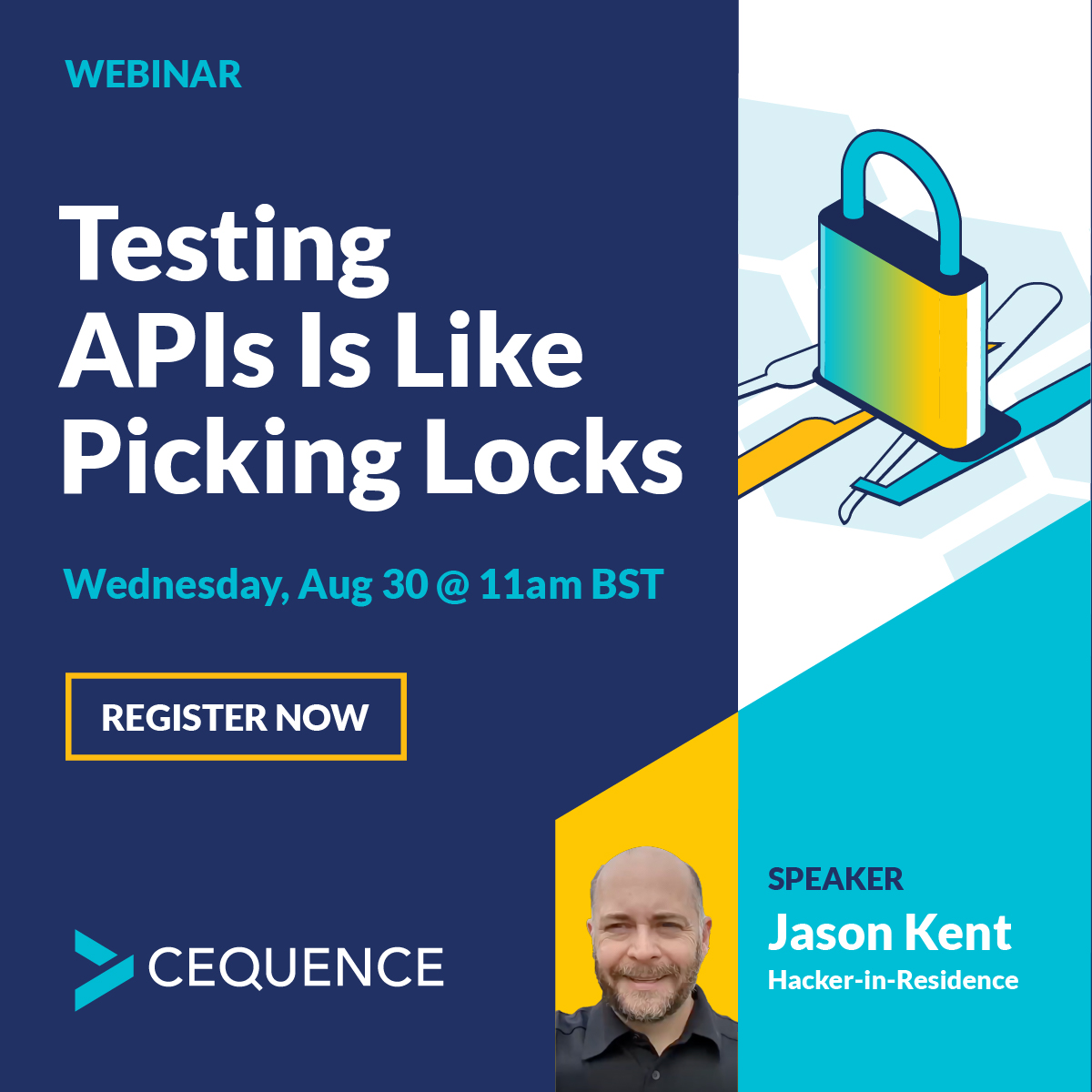 Testing APIs is Like Picking Locks | Cequence