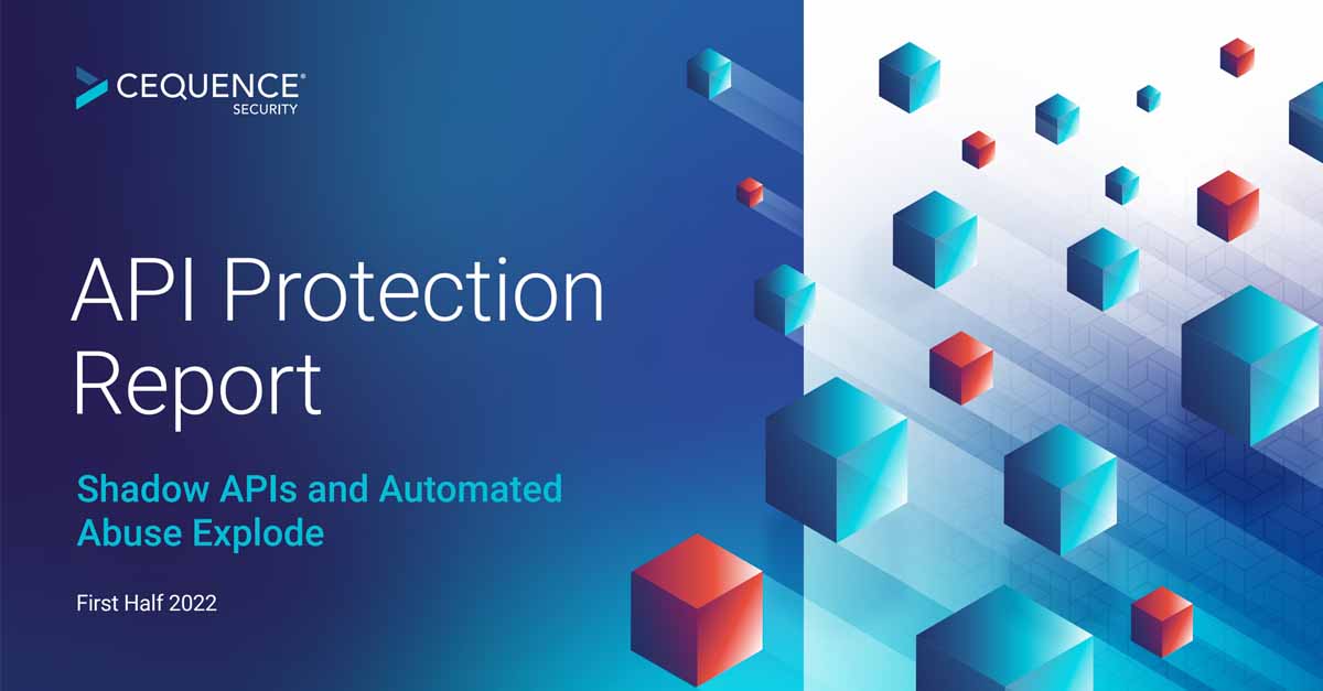 API Protection Report — First Half 2022 Findings API Protection Report — First Half 2022 Findings